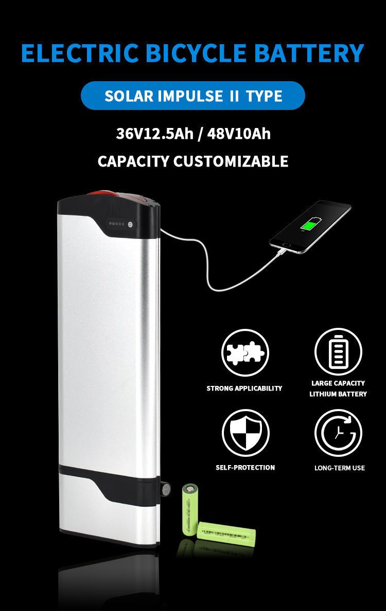 48 Volt 8.8Ah 12Ah 15ah 27ah Electric City Bike Rear Rack Lithium Ion ...